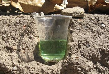 Pitfall traps - Pacific Invasive Ant Toolkit