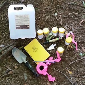 Pitfall traps - Pacific Invasive Ant Toolkit
